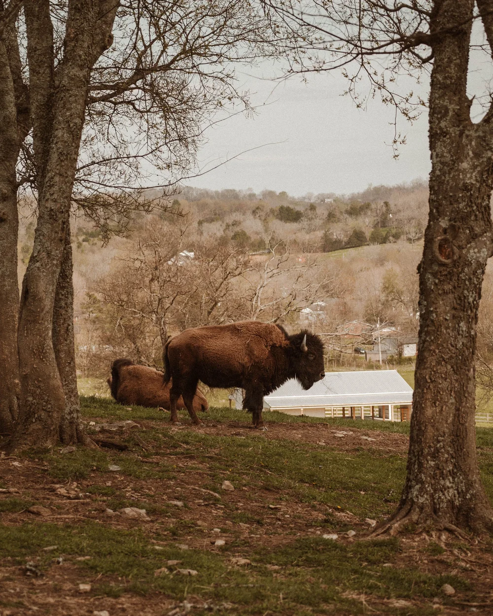 Vendor Guide | Partners in Excellence — Bullbourne Ranch