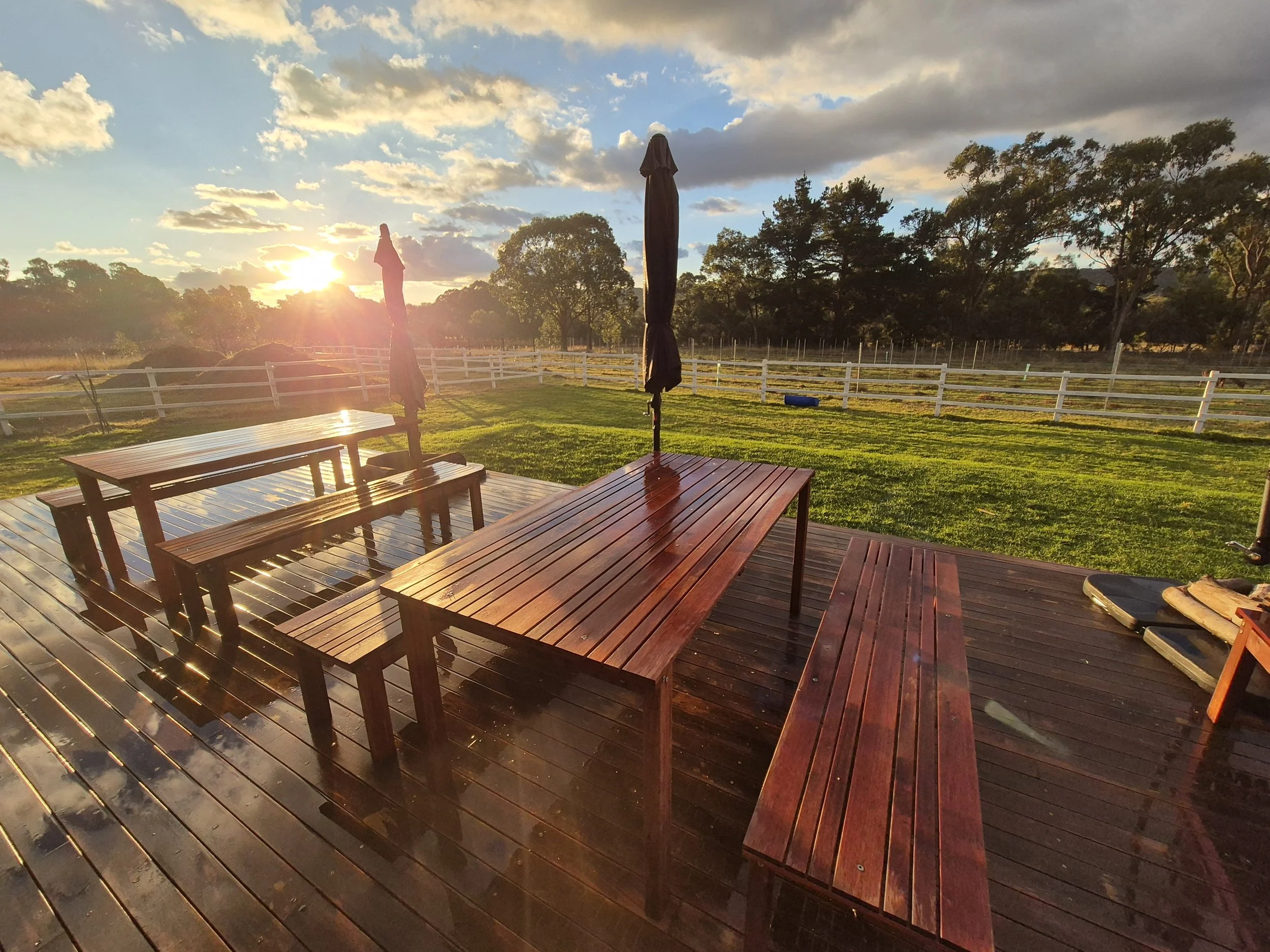 THE GINYARD