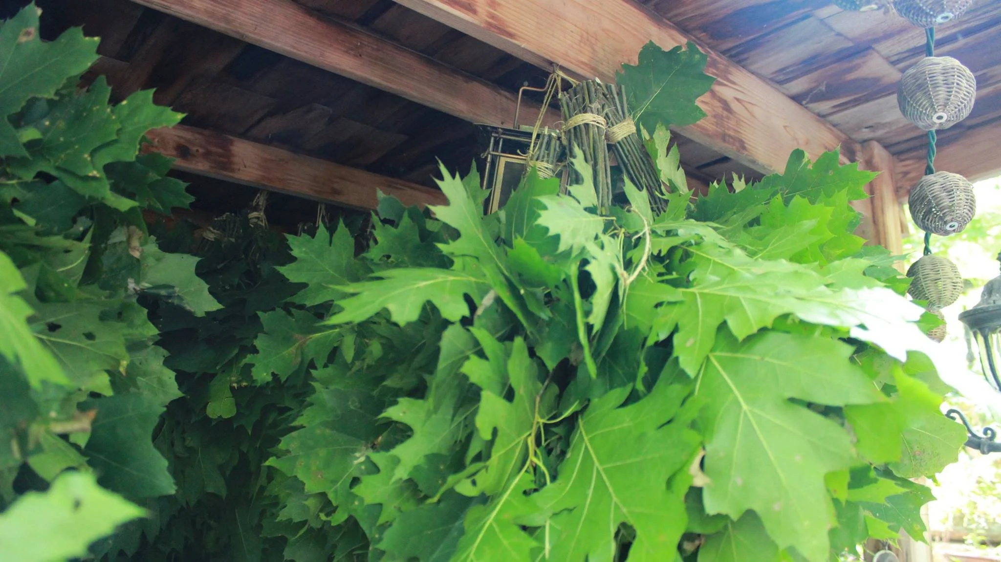 About 4 — South-Western Bathhouse