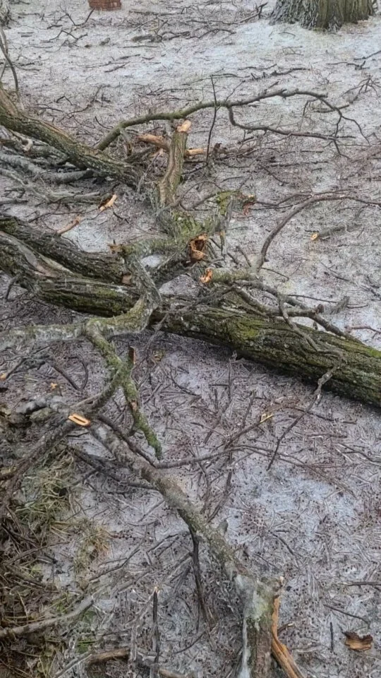 Mixie Design Co. | Image Solutions for Adventurous Brands