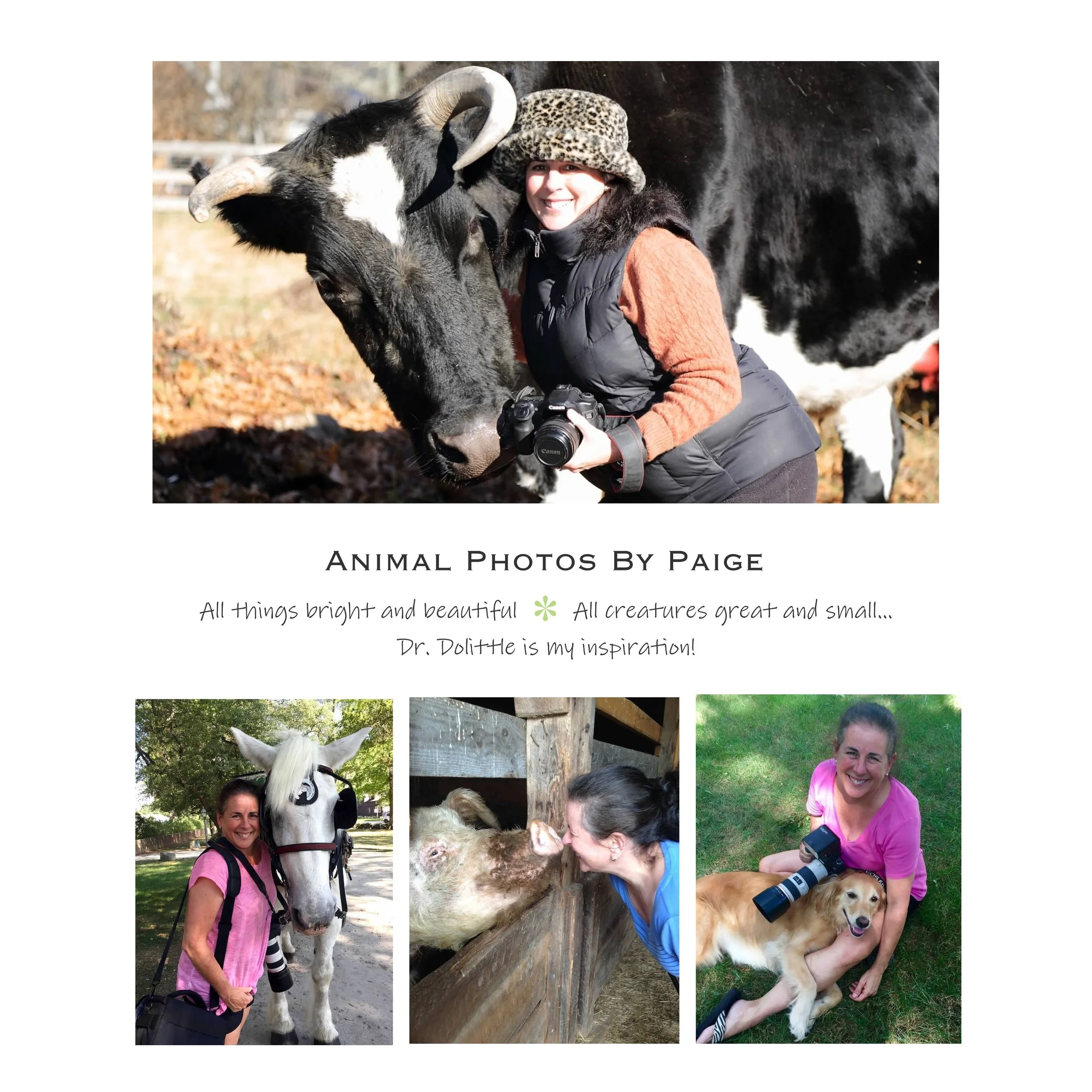 Paige's Animals — KB Custom Photobooks