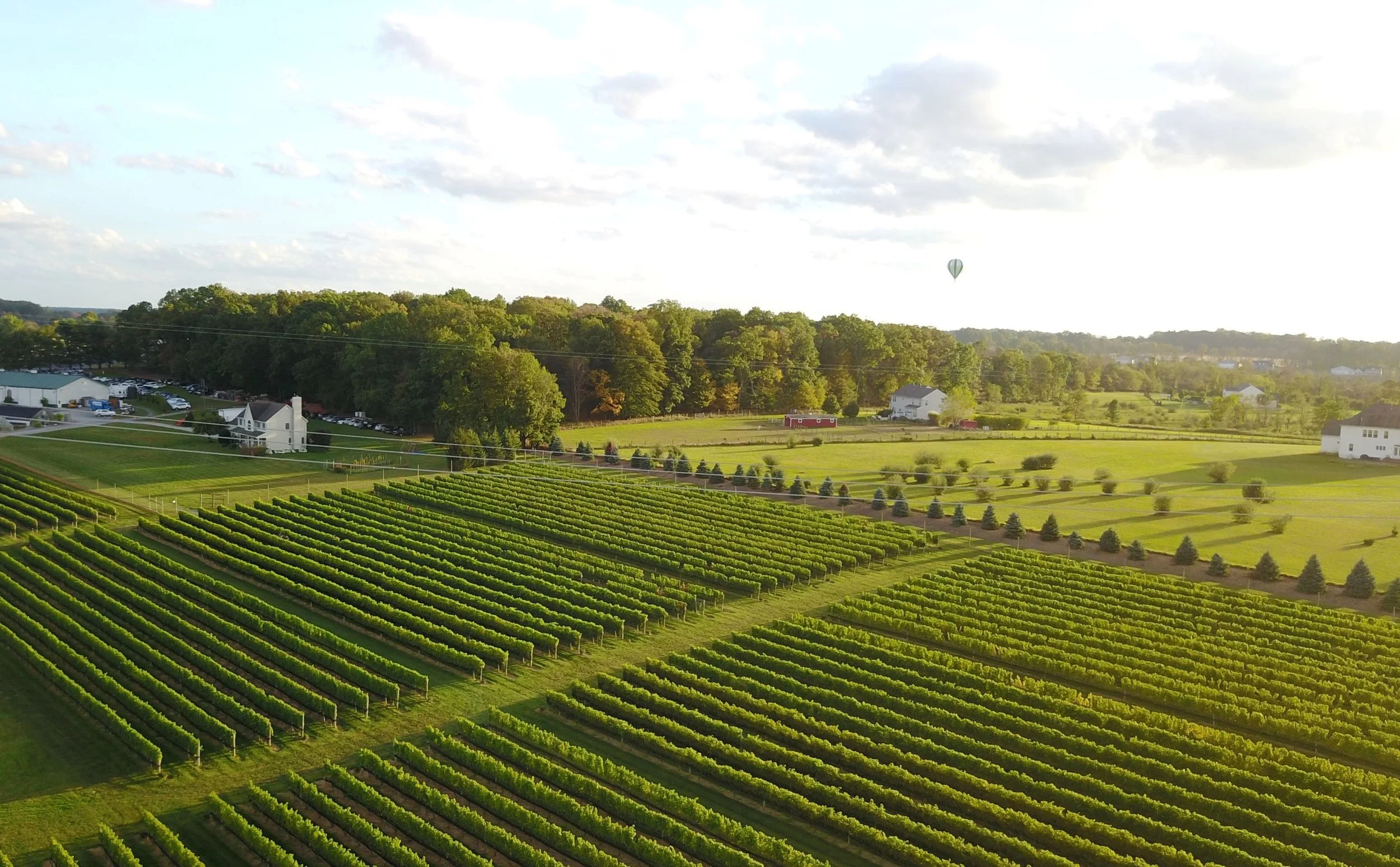 Plan Your Winery Visit | Beneduce Vineyards
