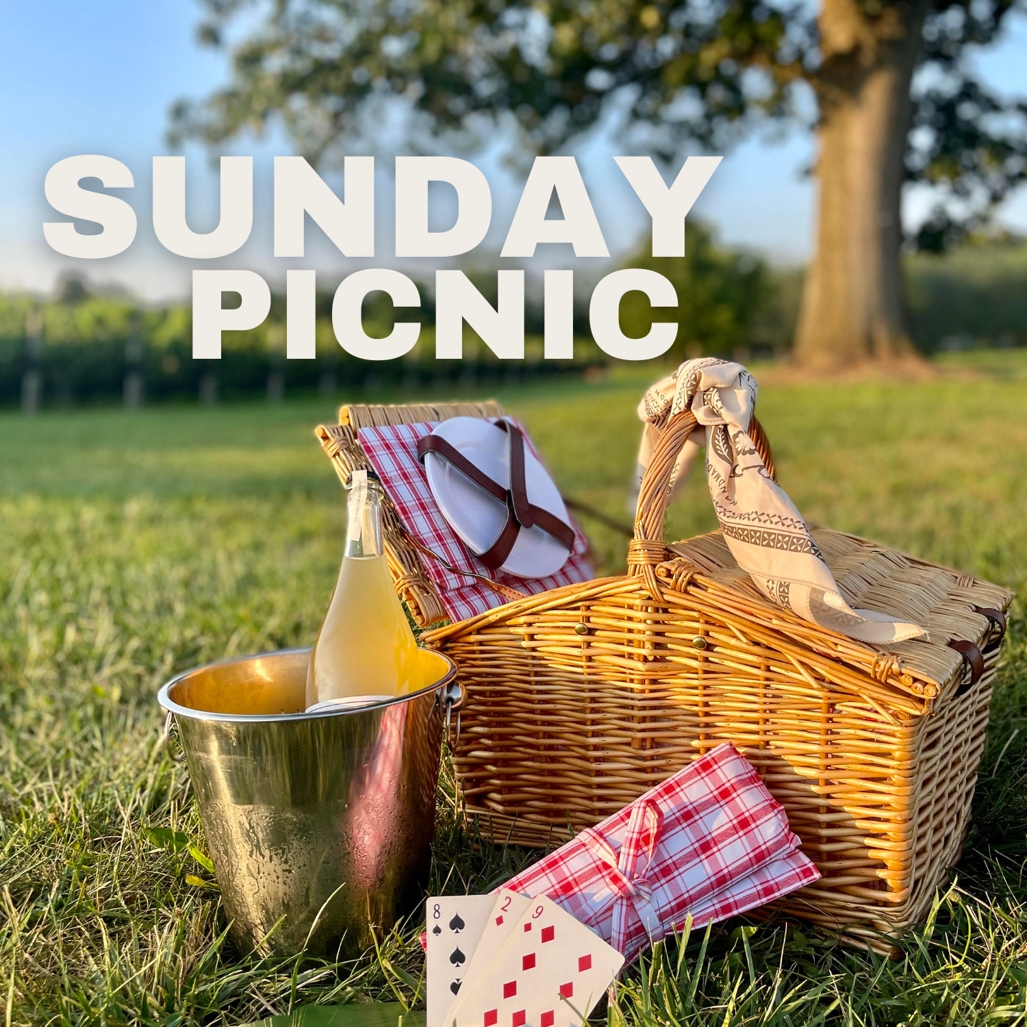 Plan Your Winery Visit | Beneduce Vineyards