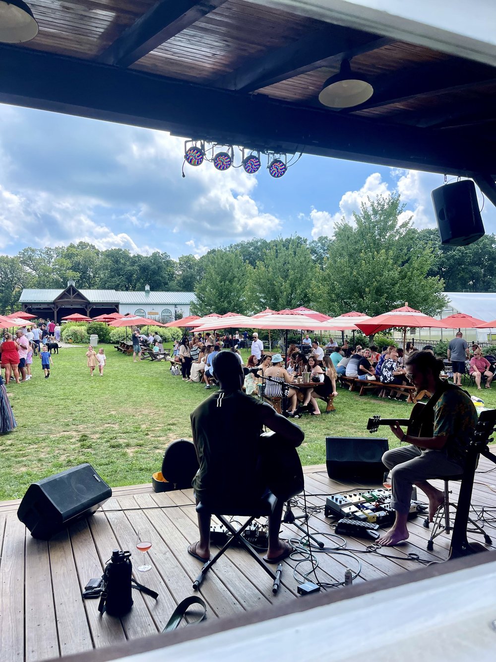 Sunday Picnics at the Winery | Beneduce Vineyards