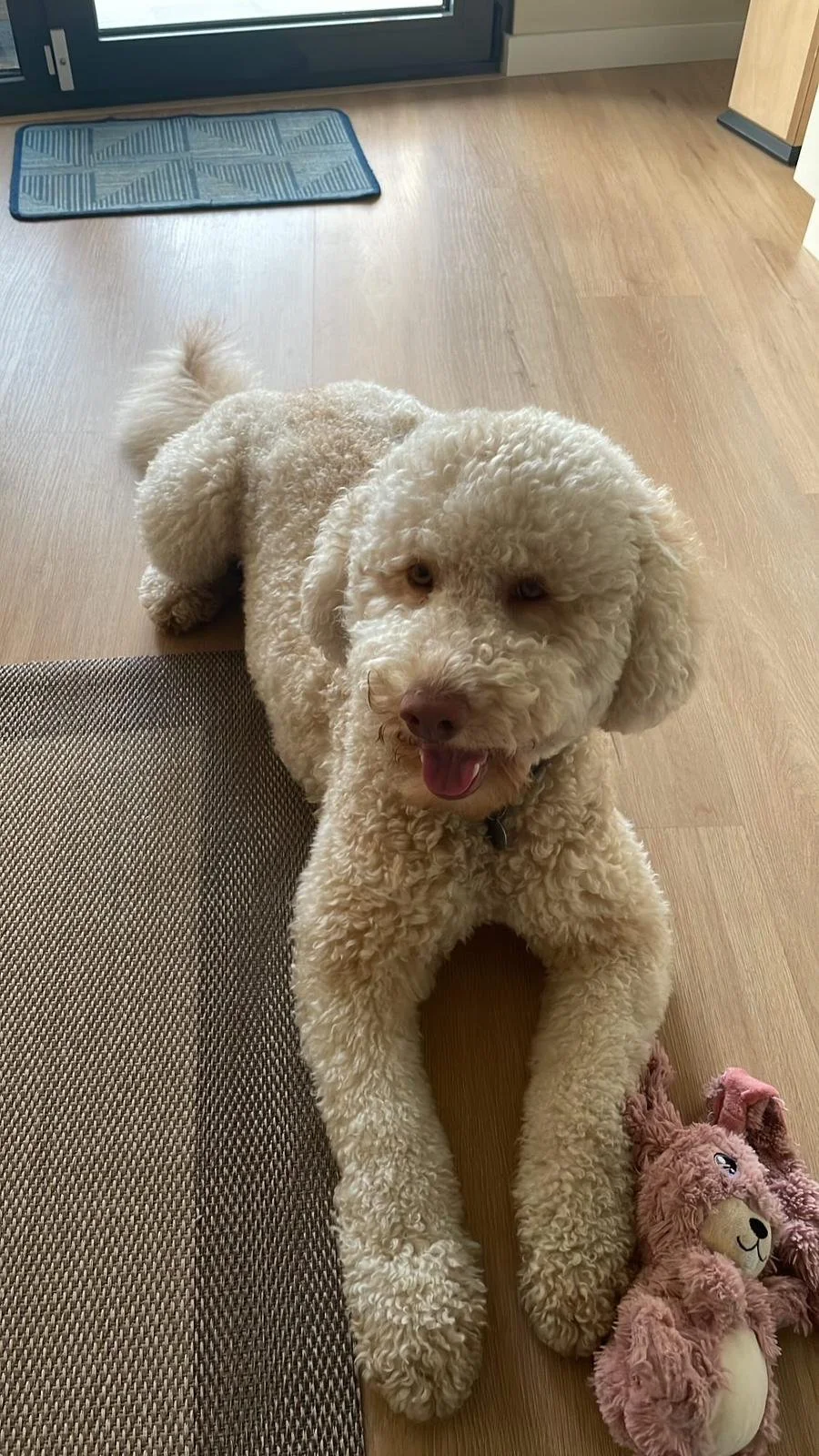 VCW-Value Creation Wheel for Leadership, Innovation, Decision Making ...