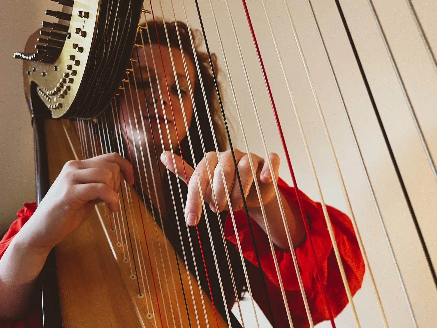 Top Tips For Hiring A Harpist — Music Students for Hire