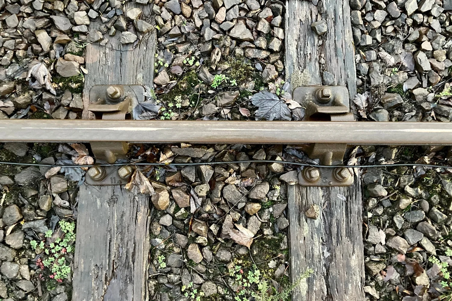 Tribometer — Rivelin Rail