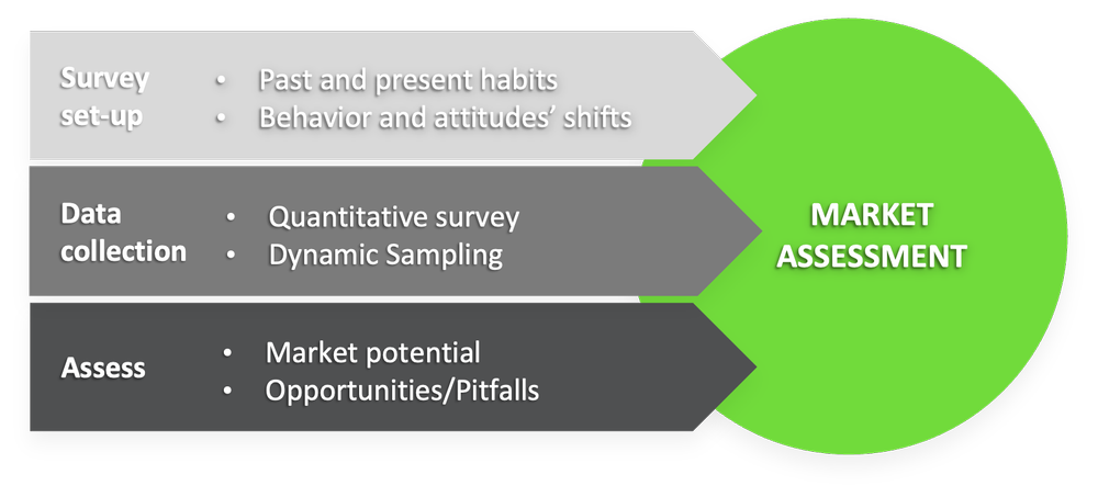 Market Assessment — Opeepl