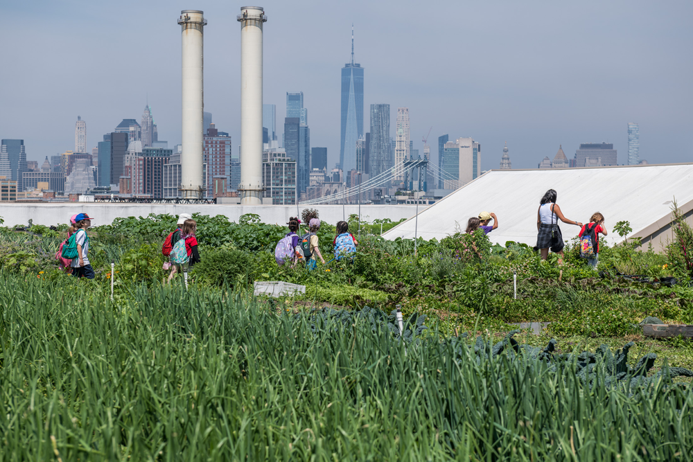 City Growers - Urban Farming Education