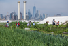 City Growers - Urban Farming Education