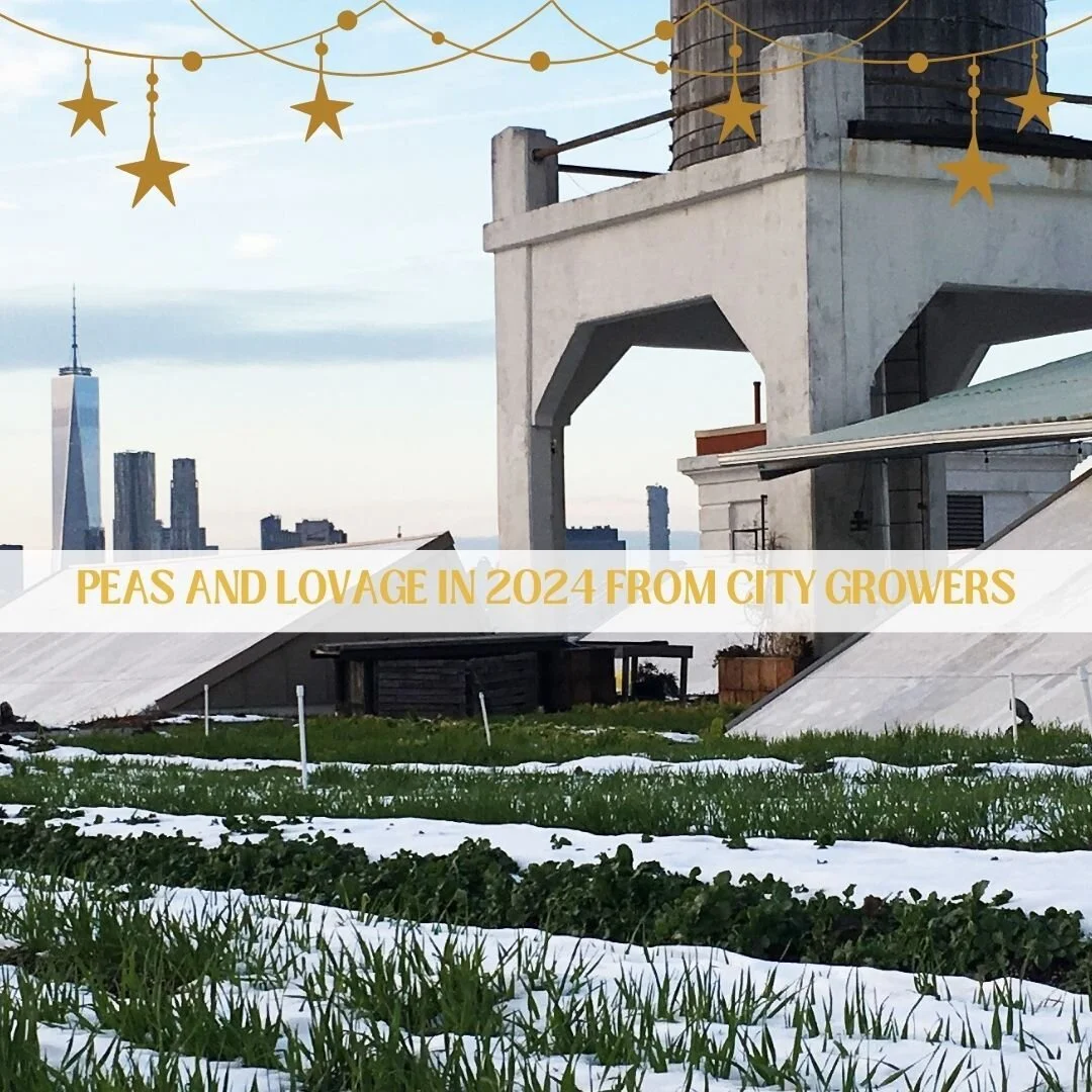 City Growers - Urban Farming Education