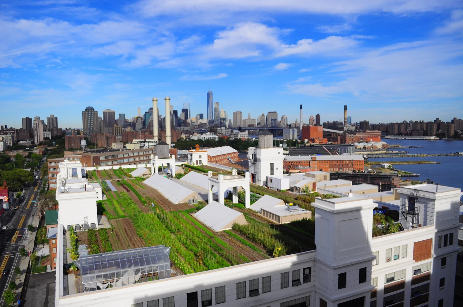 Volunteer | City Growers - Urban Farming Education