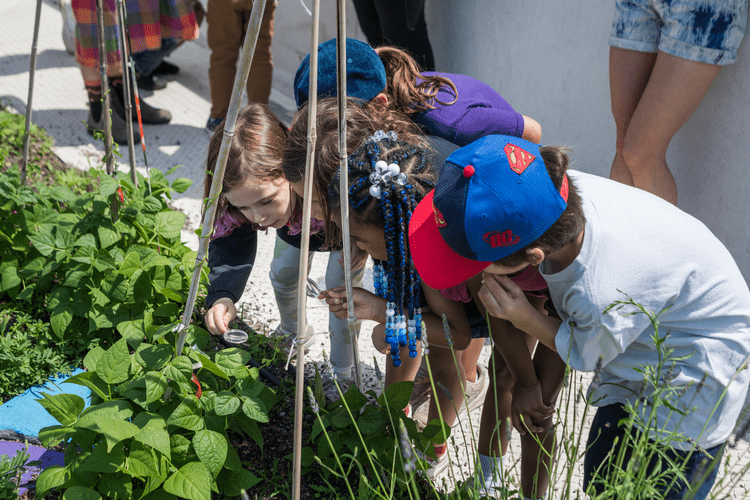 On Farm Field Trip- Rooftop Farm in NYC | City Growers - Urban Farming ...