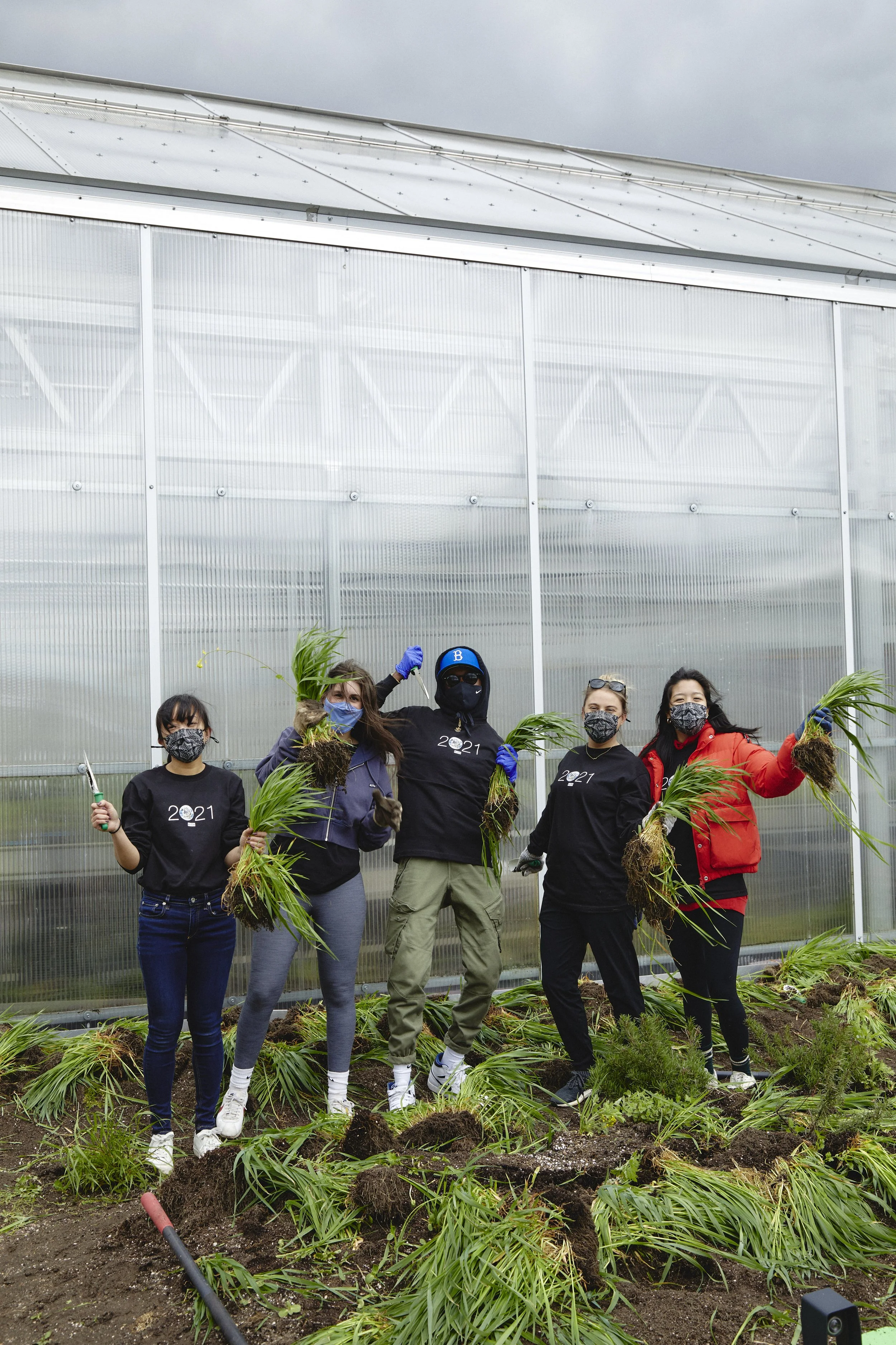Volunteer | City Growers - Urban Farming Education