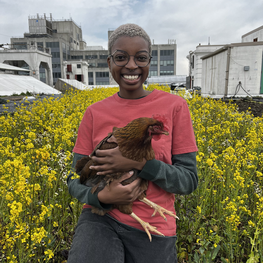 Team | City Growers - Urban Farming Education