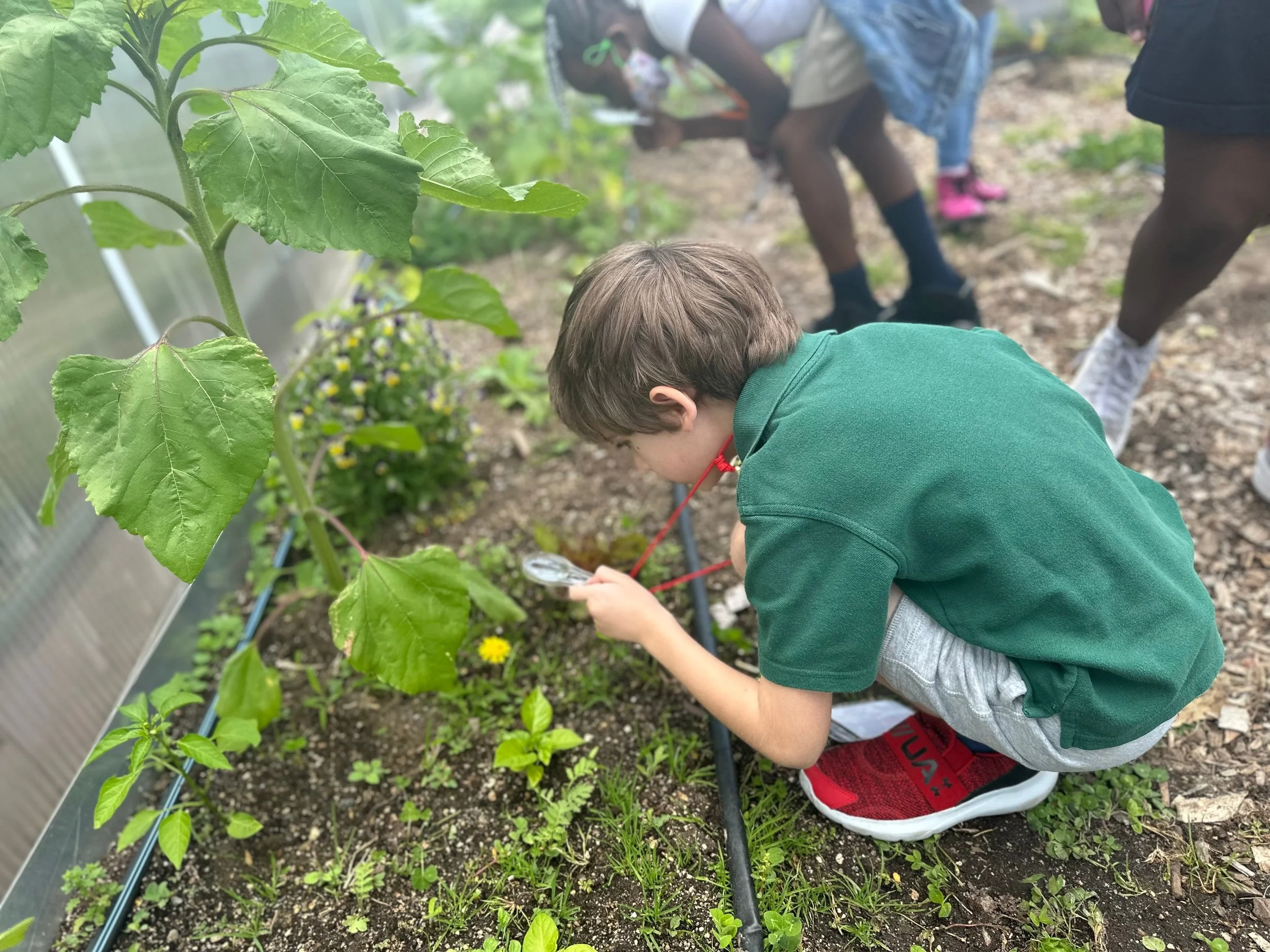 On Farm Field Trip- Rooftop Farm in NYC | City Growers - Urban Farming ...