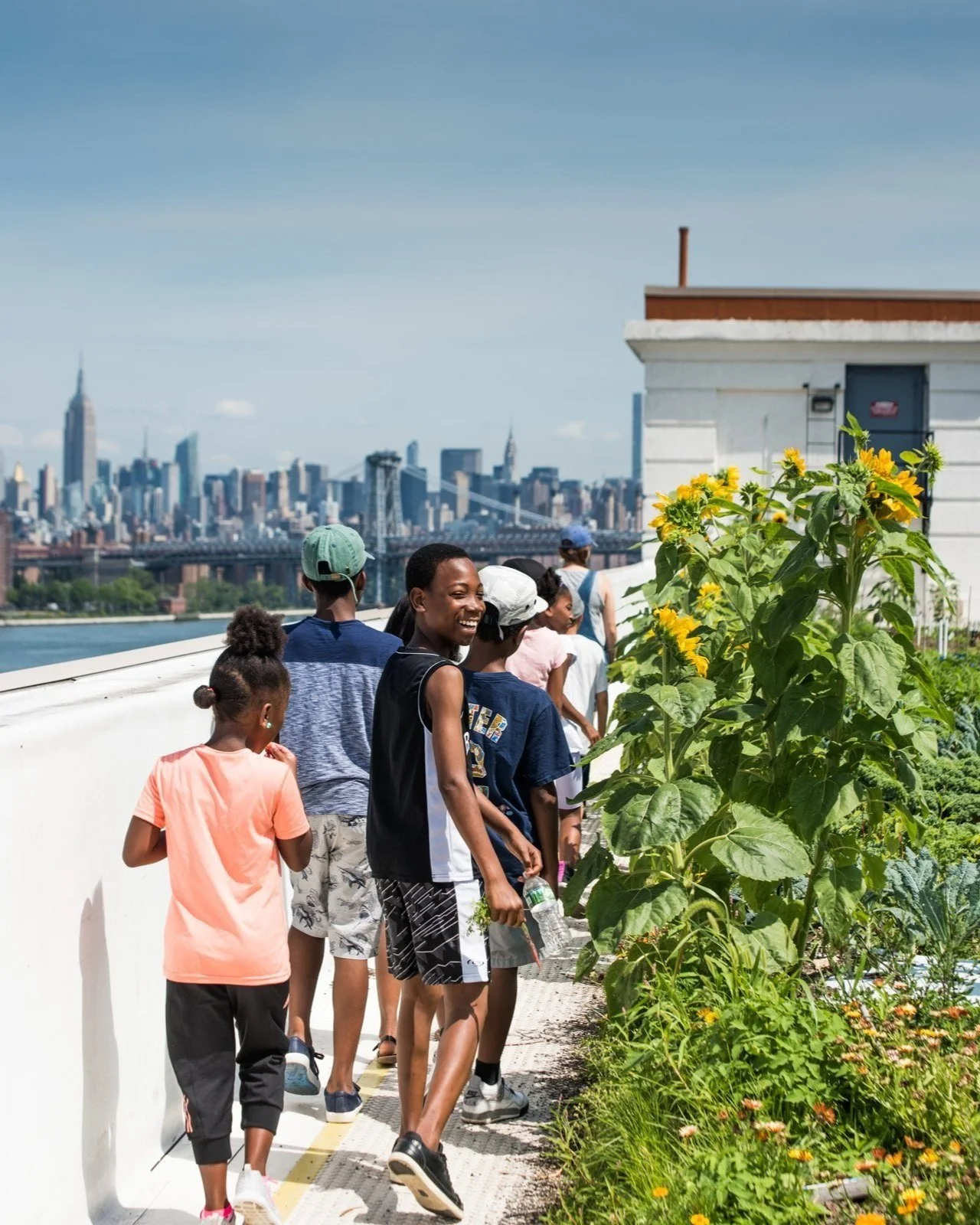 On Farm Field Trip- Rooftop Farm in NYC | City Growers - Urban Farming ...