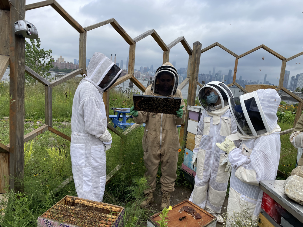 Job Opportunities | City Growers - Urban Farming Education