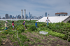 City Growers - Urban Farming Education