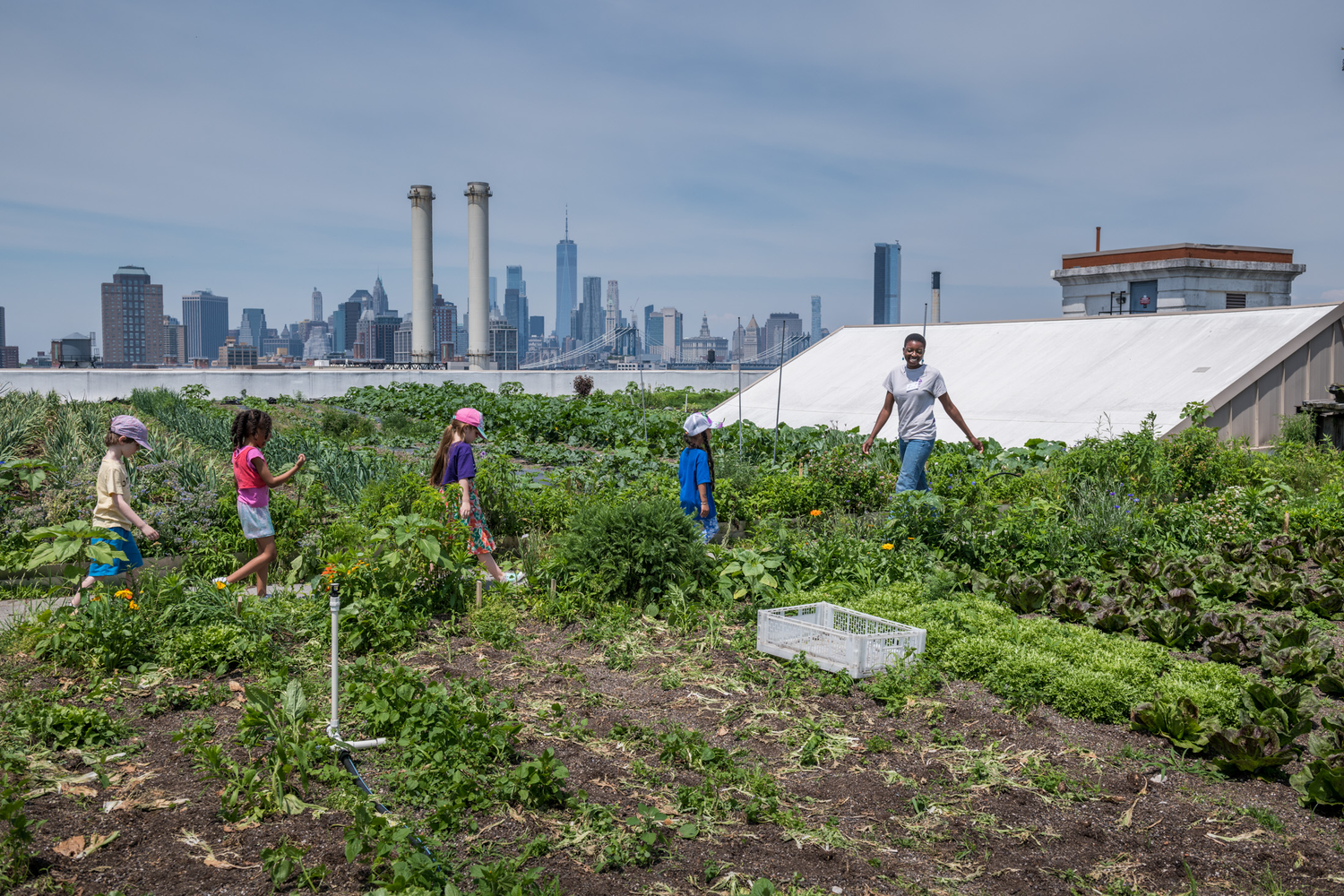 City Growers - Urban Farming Education