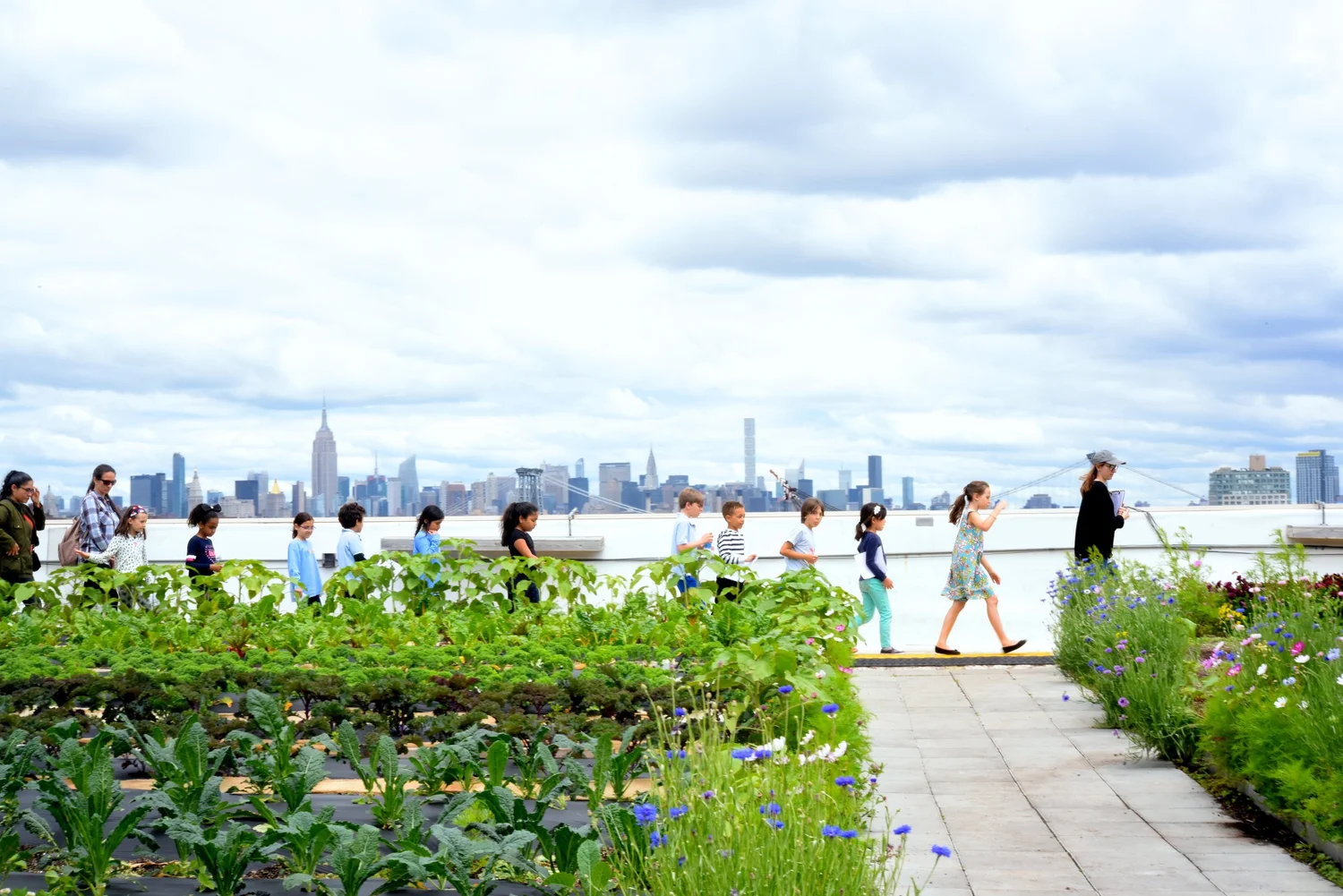 City Growers - Urban Farming Education
