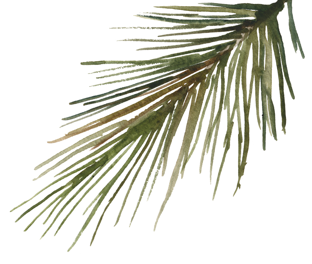 Emmanuel Book — Ruth Chou Simons