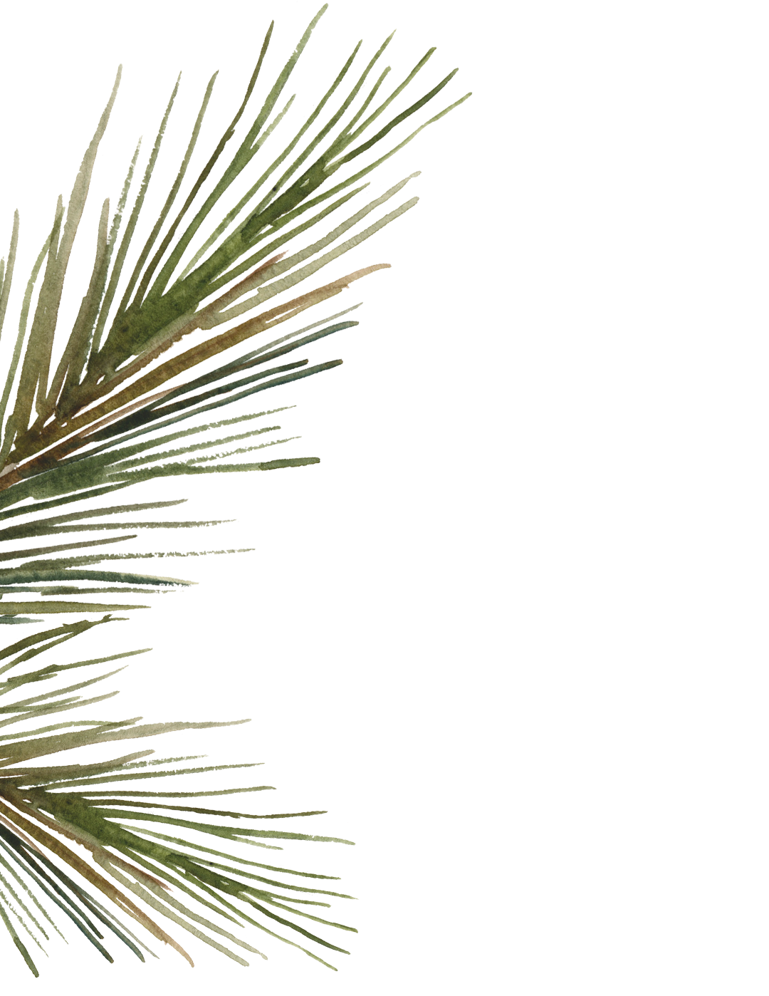 Emmanuel Book — Ruth Chou Simons