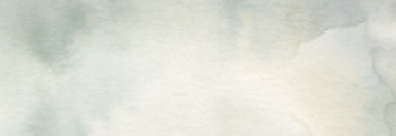 Pilgrim Book — Ruth Chou Simons