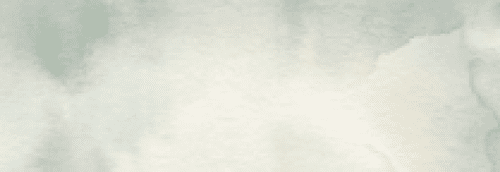 Pilgrim Book — Ruth Chou Simons