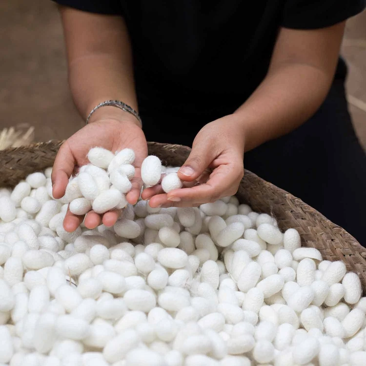 What is Silk? Benefits of Wearing Silk Clothing — Better Goodness