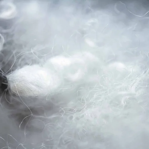 Fashion with a Purpose: The Advantages of Recycled Polyester — Better ...