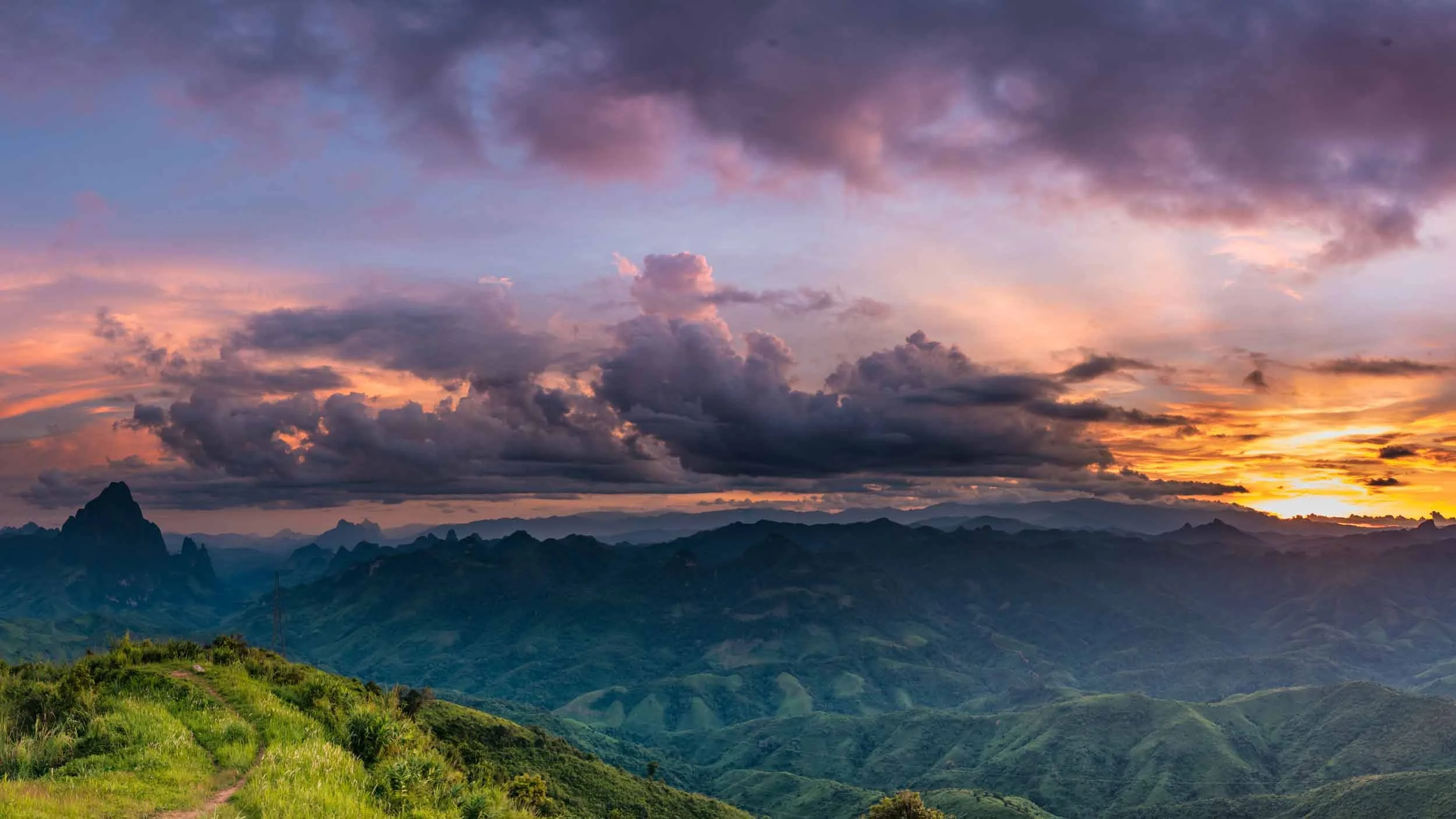 Rainforest Alliance Certification: A Mark of Sustainability and ...