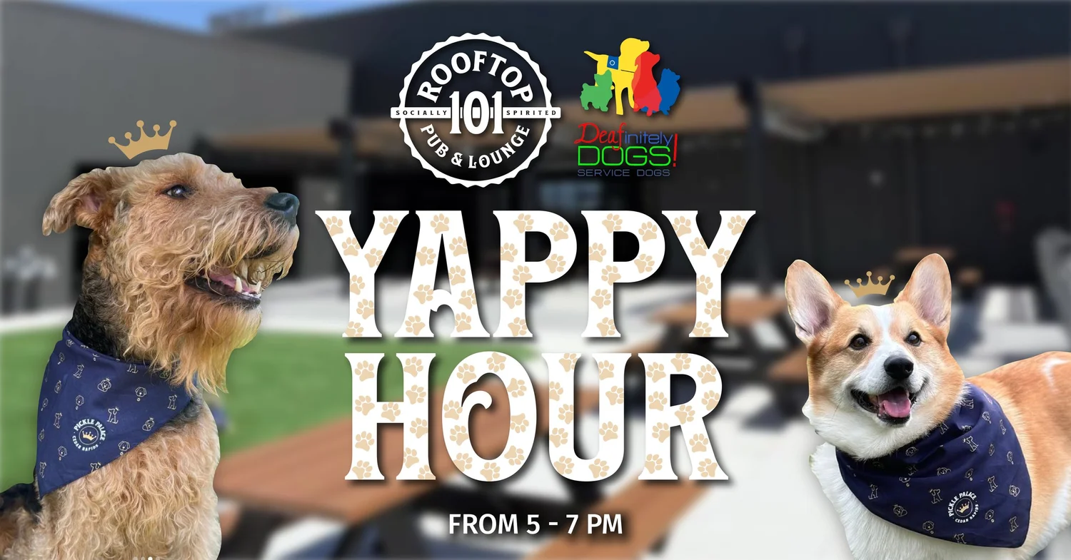 Yappy Hour with Deafinitely Dogs — Play Pickle Palace