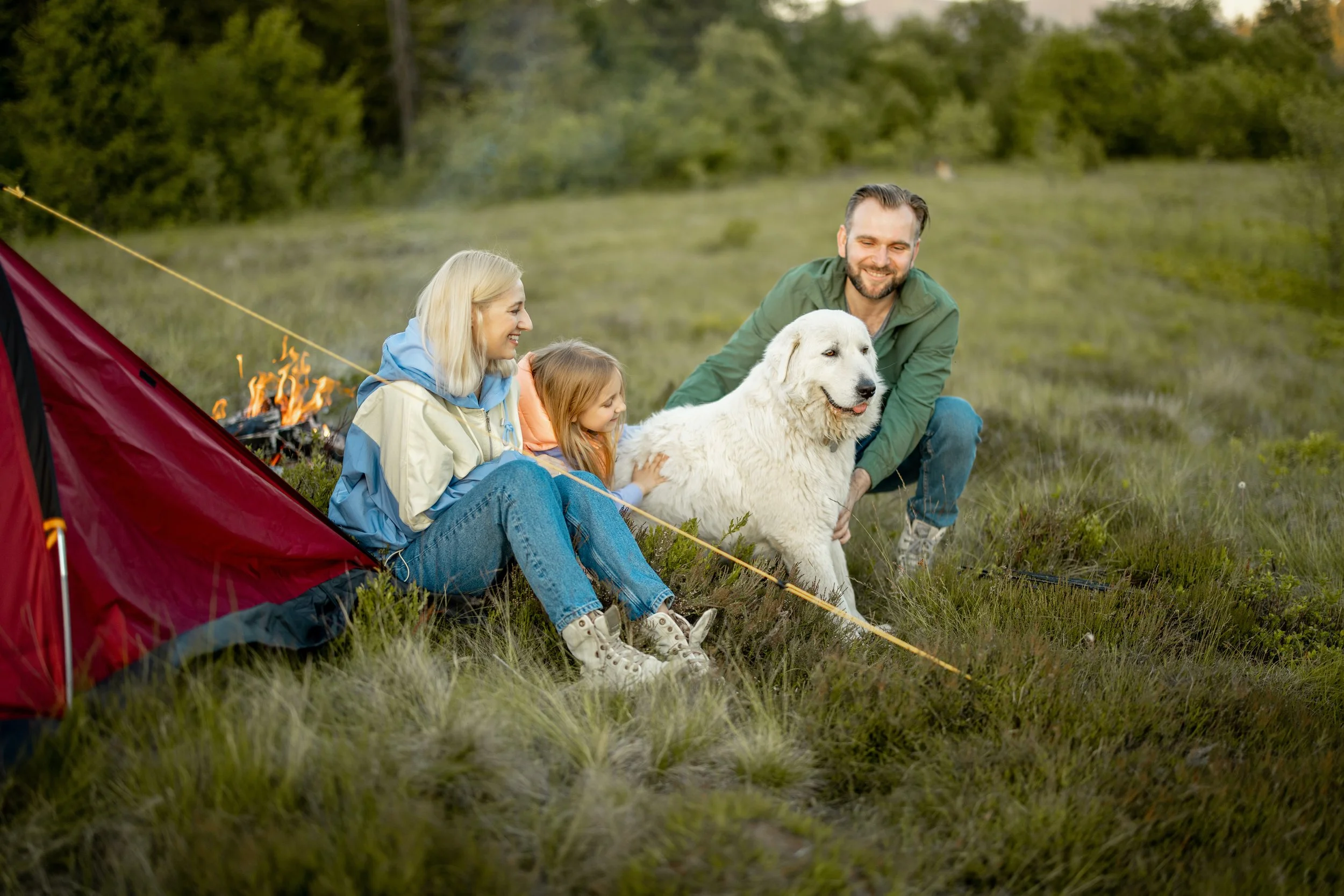 Our Services Animal Health Certificate Experts our-services-animal-health-certificate-experts