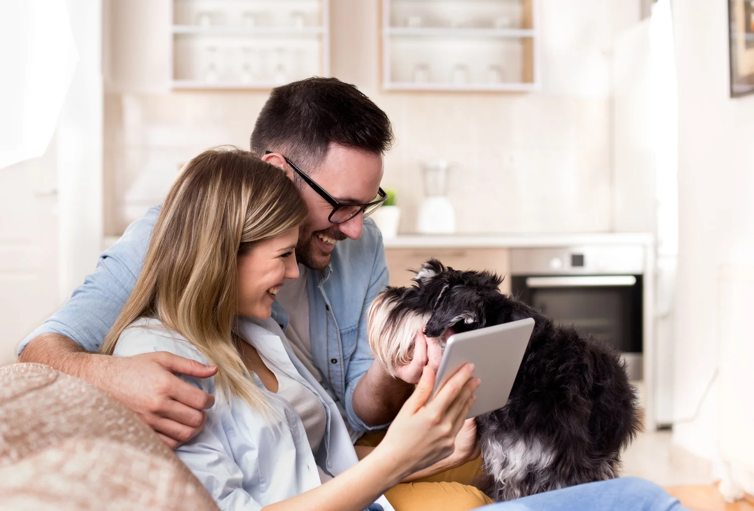 Pet Travel Health Certificates London | AHC, EHC & Worldwide