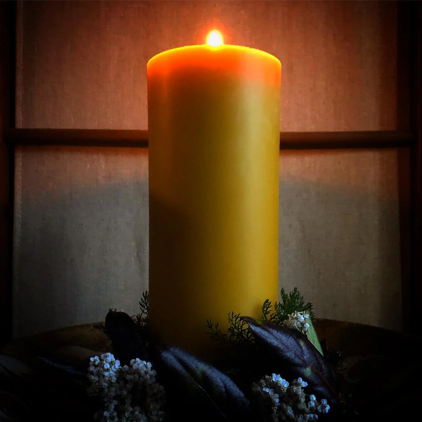 North Star Candle Co