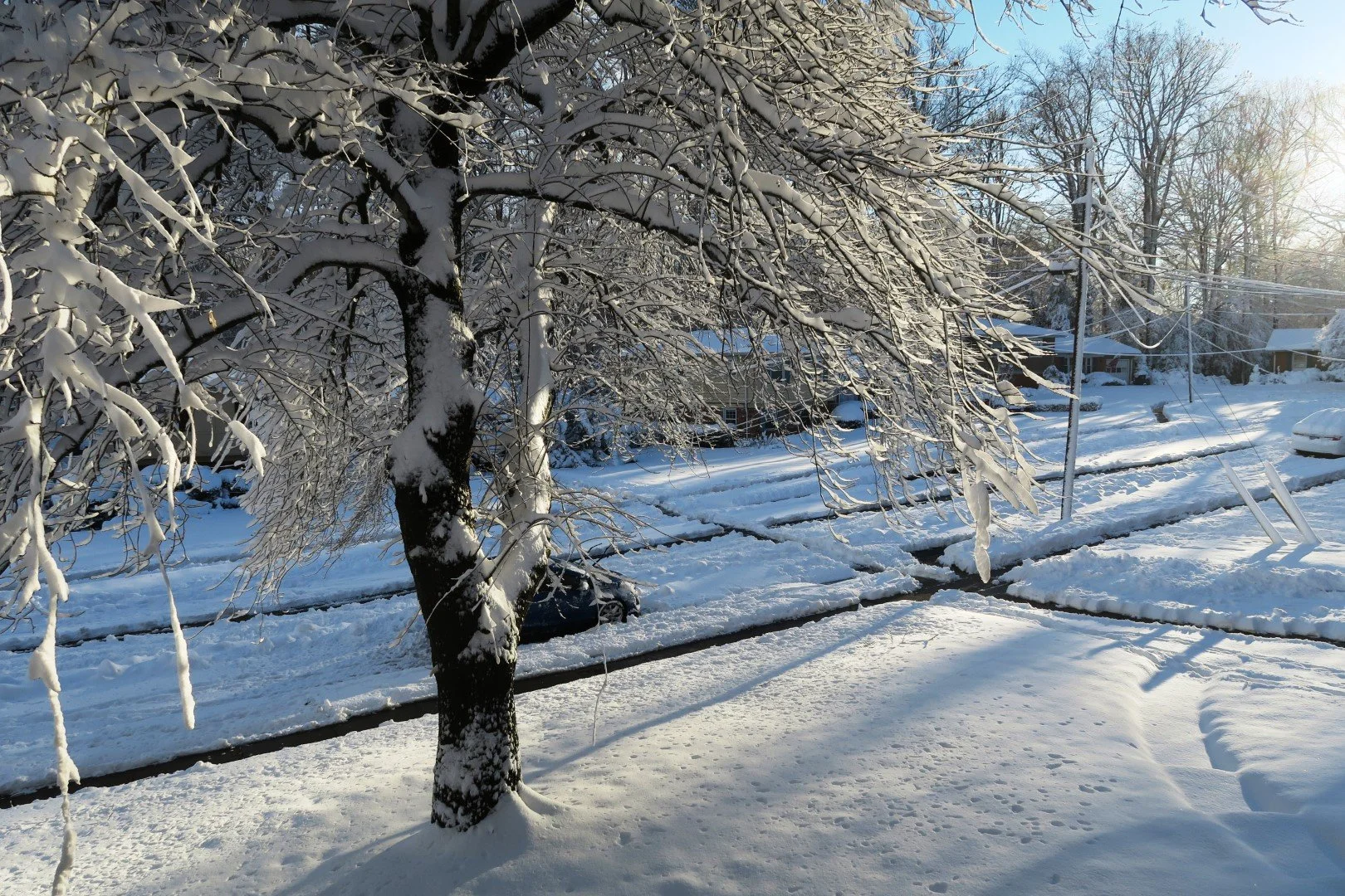 Gallery 1 — Ravensworth Farm Civic Association