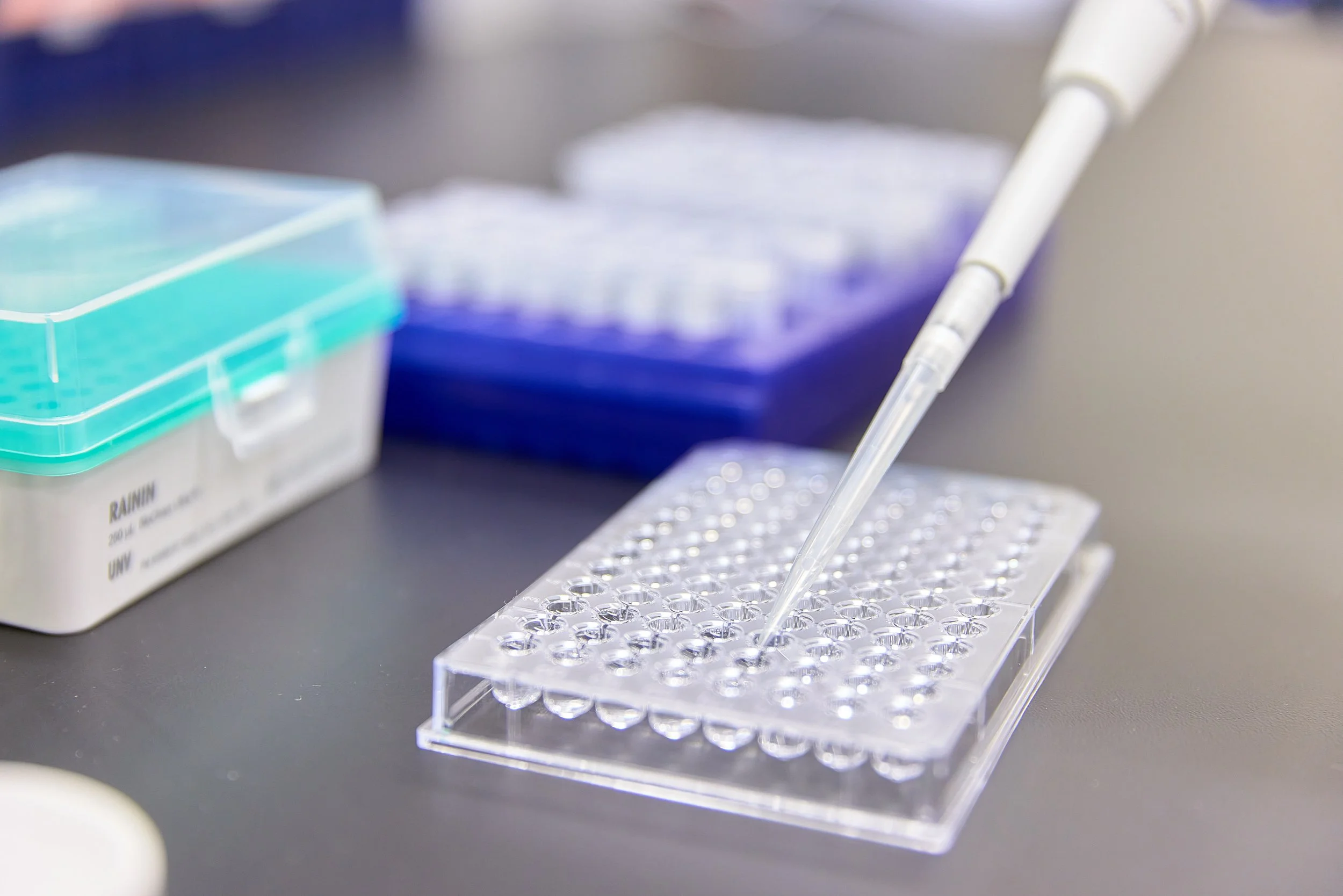 Research — Elahi Lab