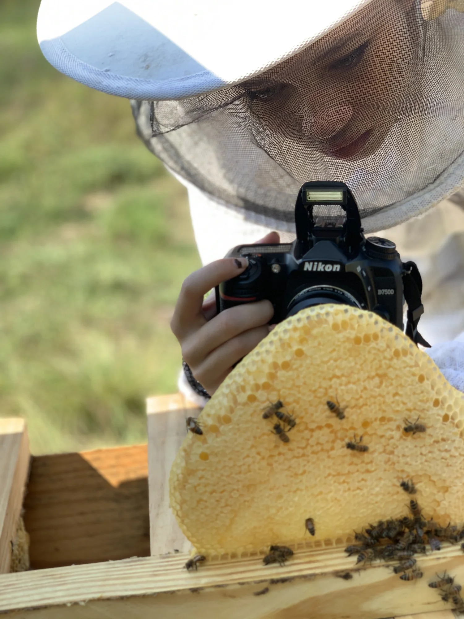Texas Natural Beekeepers Association