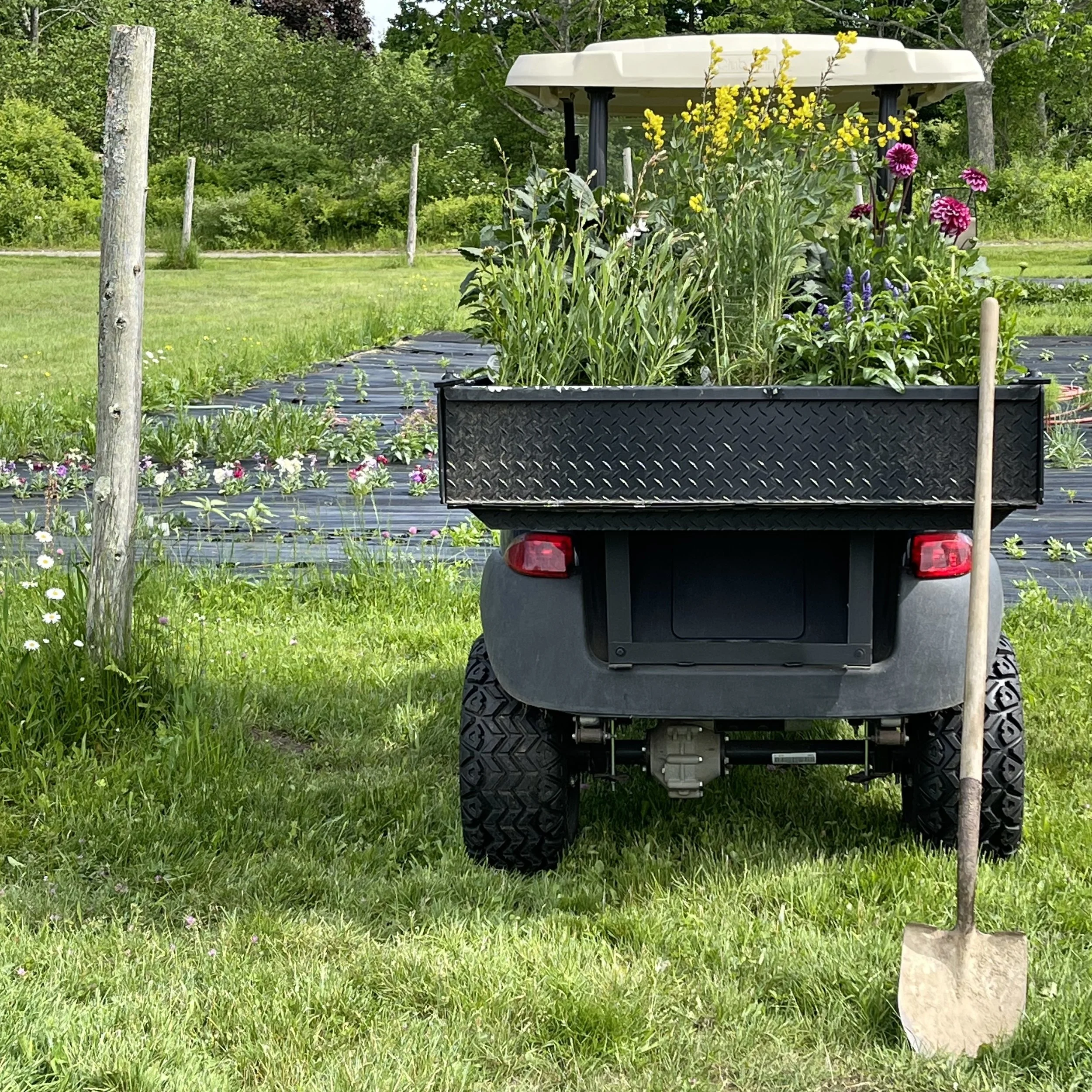 The Farm — Winter's Rush Flower Farm