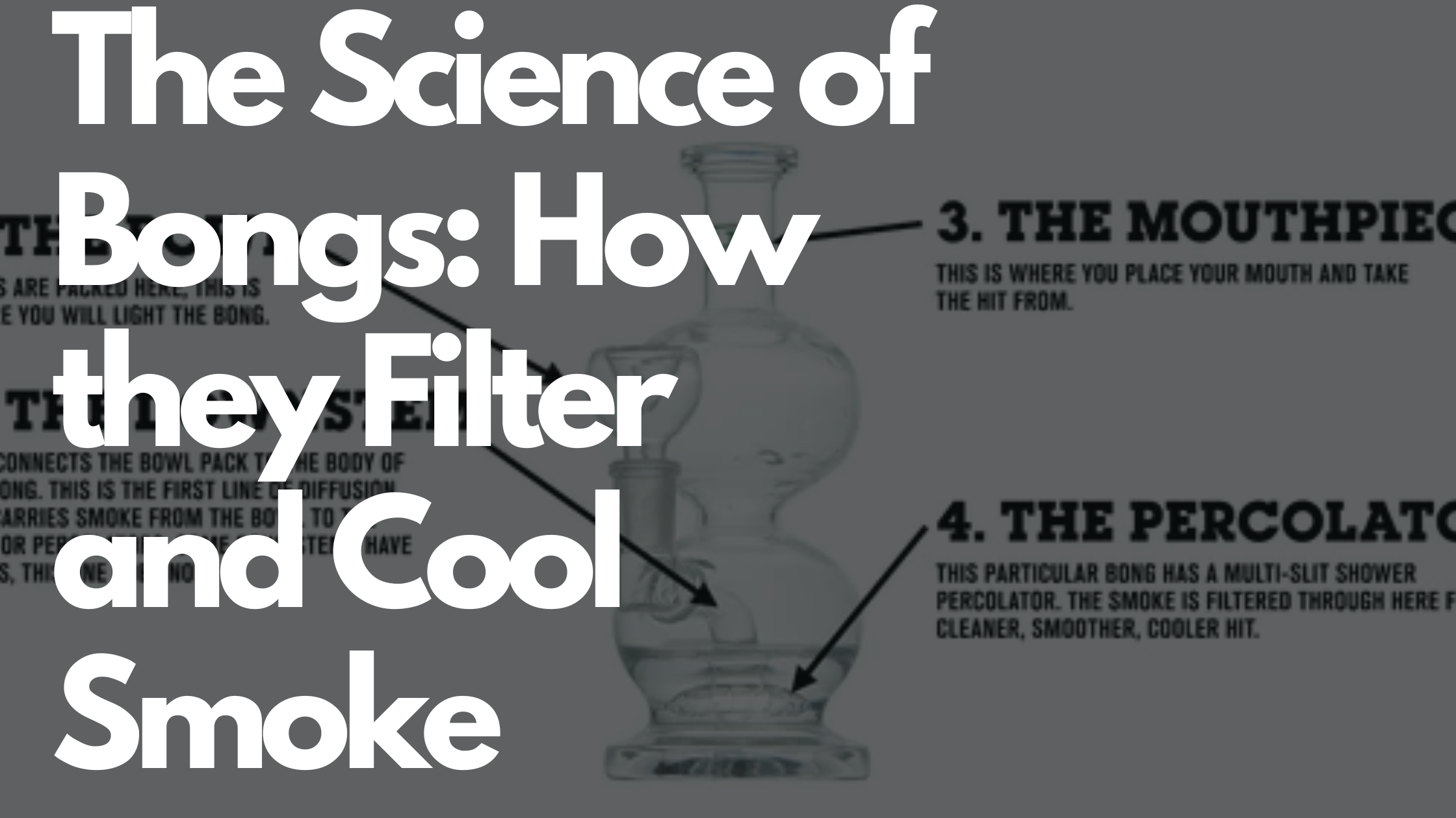 The Science of Bongs: How they Filter and Cool Smoke — The Bong ...