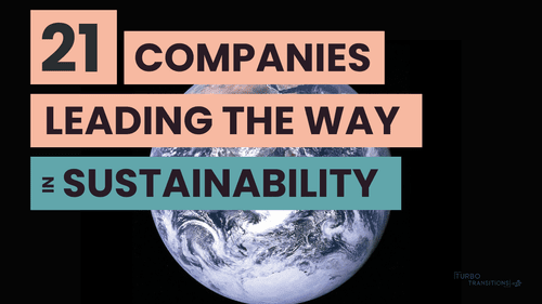 21 Companies Leading the Way in Sustainability (Infographic) | Join the ...