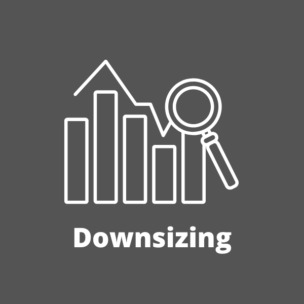 Turbo Transitions - Virtual Outplacement Services