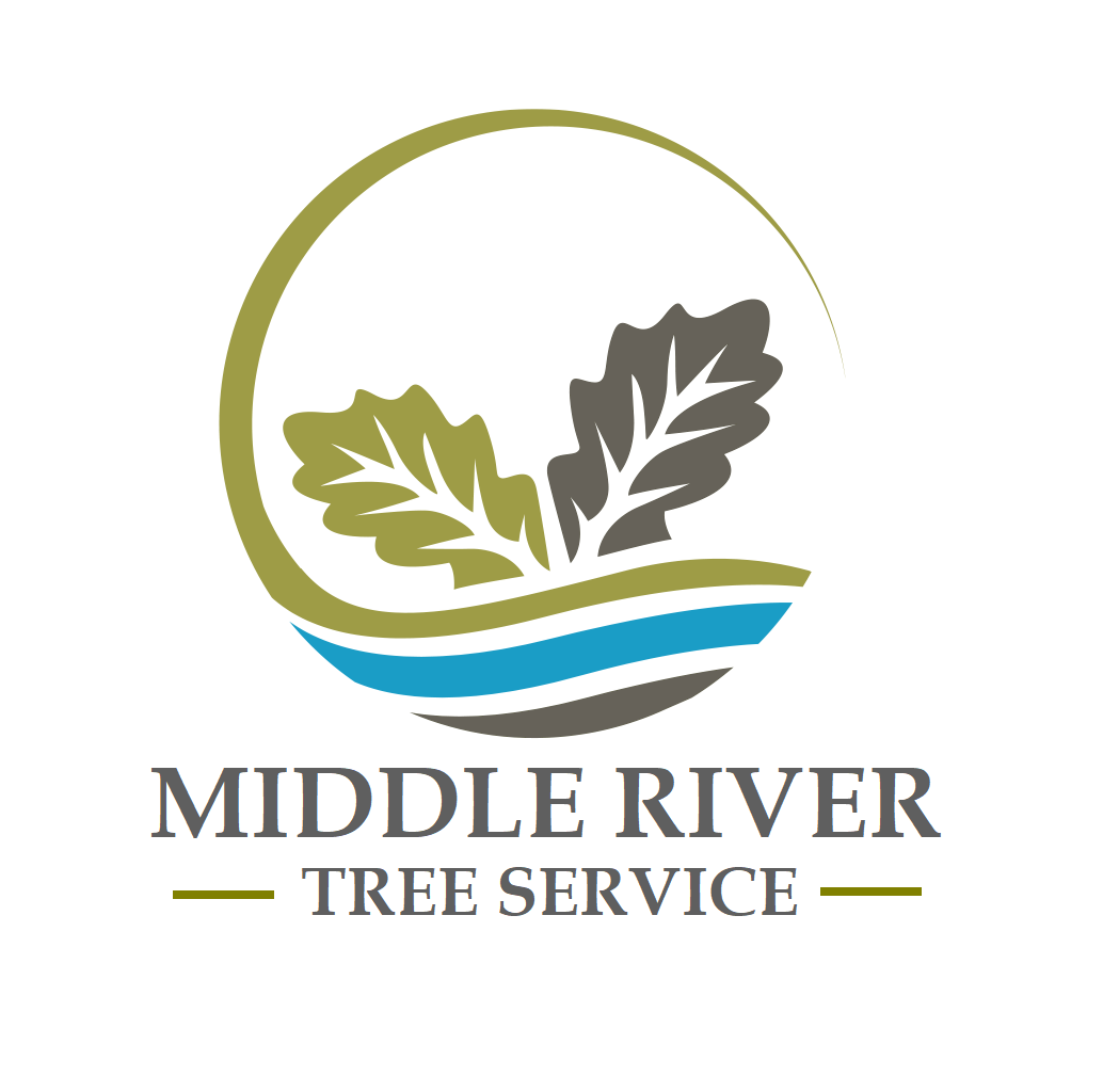 Tree Services Rochester, MN | Middle River Tree Service
