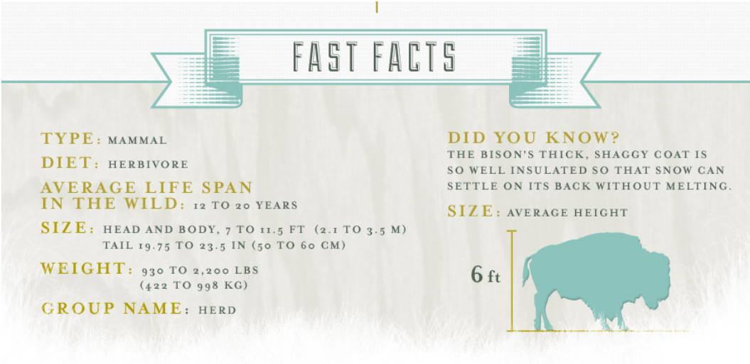BISON FACTS — Bison Berry Farms