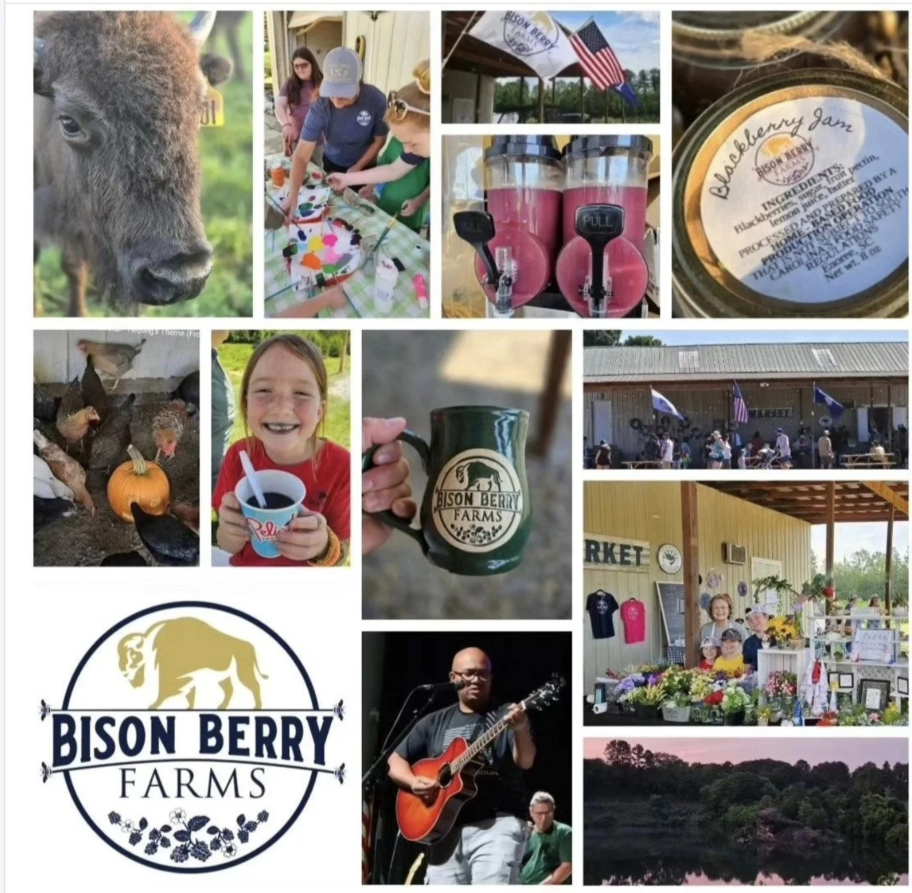 Bison Berry Farms
