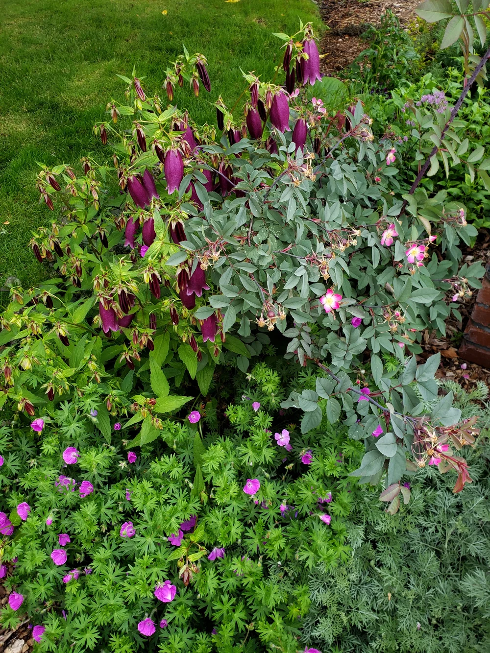 Projects — Salix Sea Studio PLLC