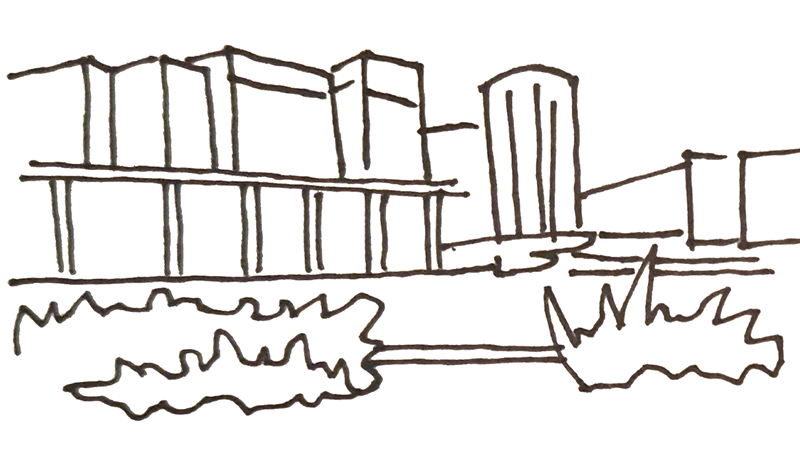 Salix Sea Studio PLLC