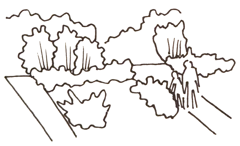 Salix Sea Studio PLLC