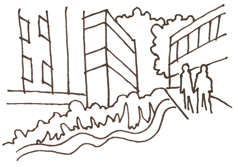 Salix Sea Studio PLLC